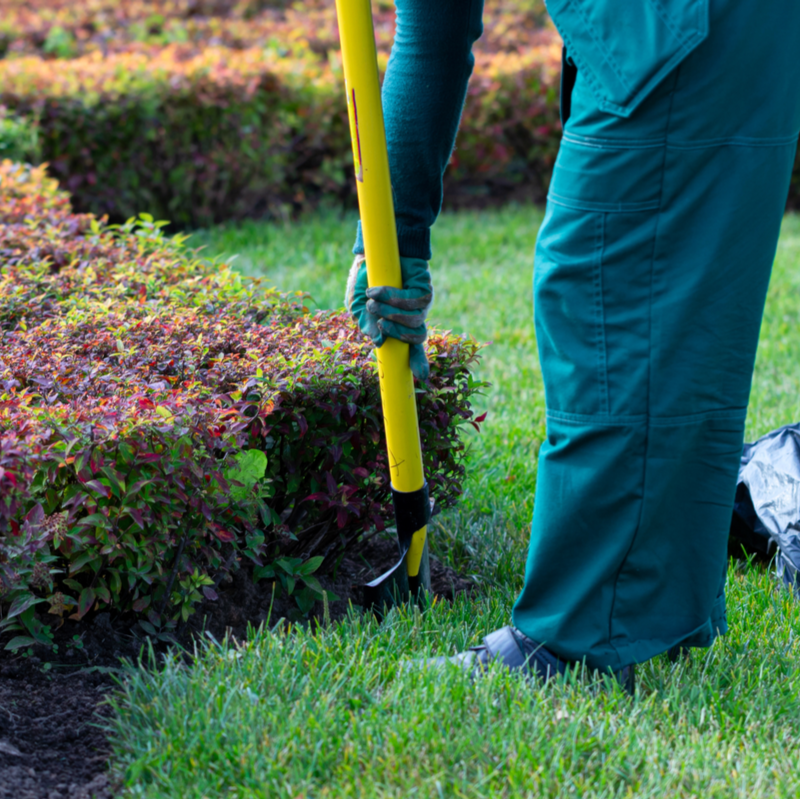 What Commercial Lawn Maintenance Services Can Do For Your Business ...